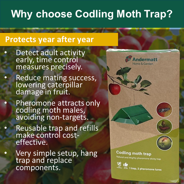 Codling Moth Trap UK - £8.99 with 2 Pheromone Refill Lures, Free Next ...