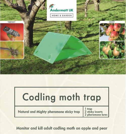 Codling Moth Trap UK - £8.99 with 2 Pheromone Refill Lures, Free Next ...