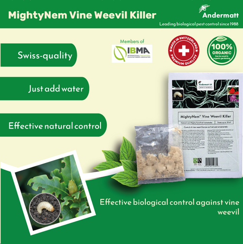 MightyNem® Vine Weevil Killer