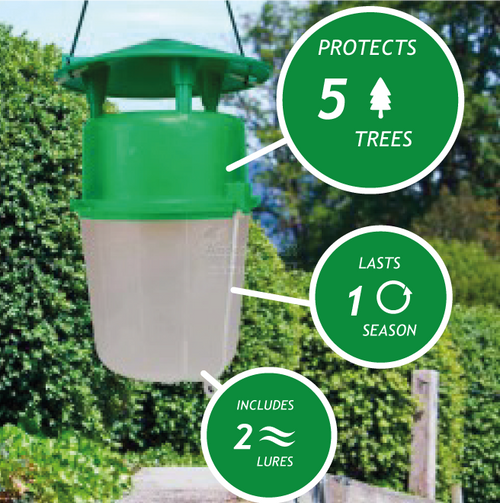 Compact Box tree moth trap